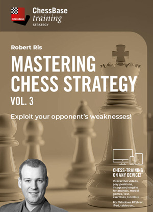 Mastering Chess Strategy Vol.3 - Exploit your opponent’s weaknesses!, Robert Ris (English ...